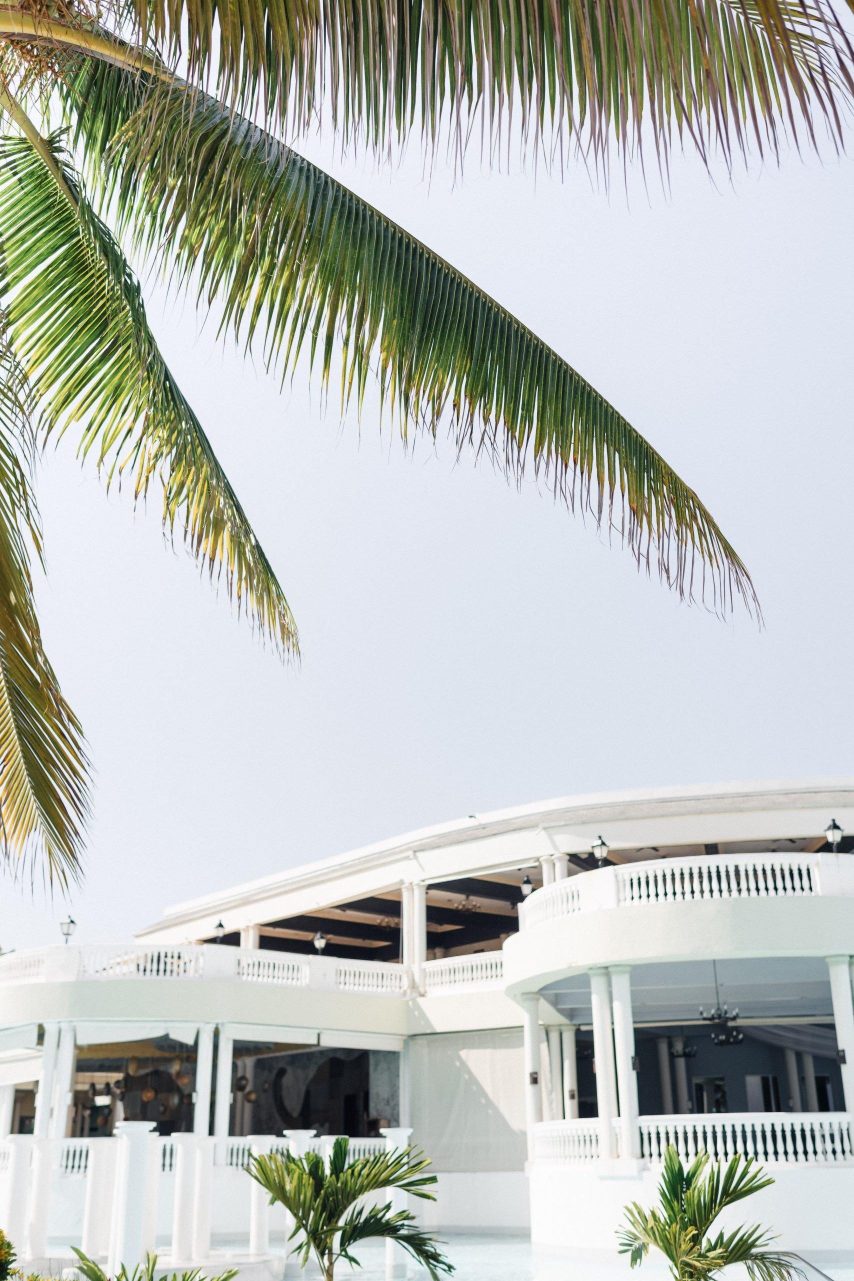 A Pink Themed Beachfront Jamaican Destination Wedding With A Sand