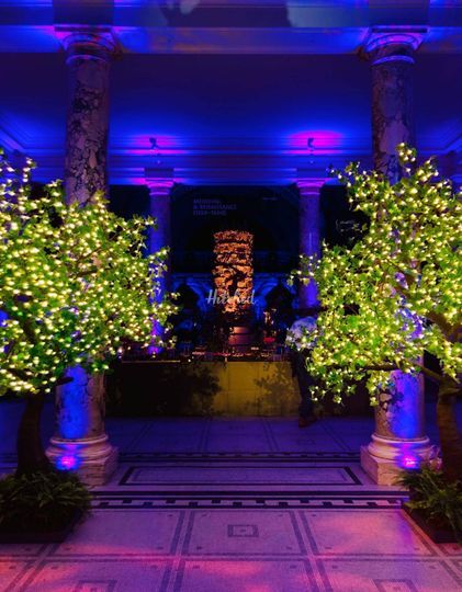 Twilight Trees in Hampshire - Decorative Hire | hitched.co.uk