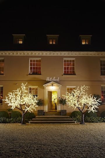 Twilight Trees in Hampshire - Decorative Hire | hitched.co.uk