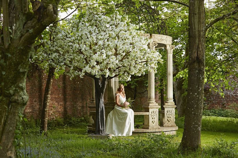 Twilight Trees in Hampshire - Decorative Hire | hitched.co.uk