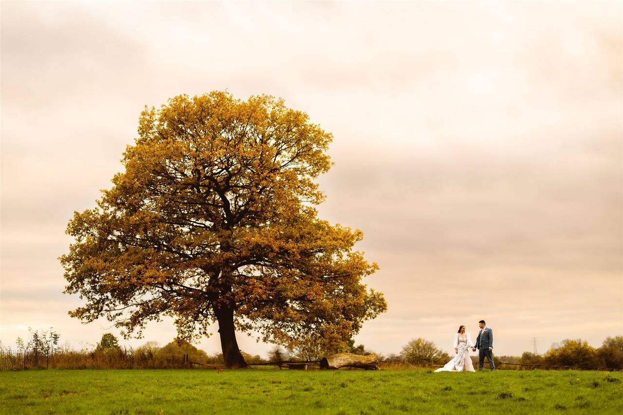 Little Green Wedding Barn in Thrandeston, Norfolk - Updated prices ...