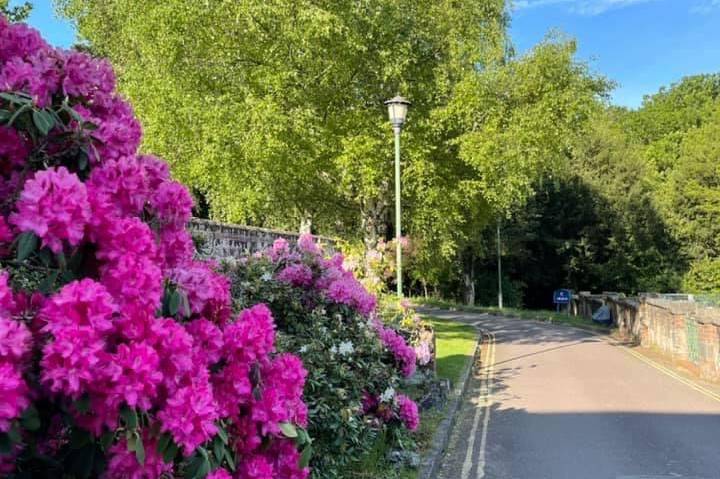 The Warren Hayes Bromley, Kent - Updated prices | hitched.co.uk