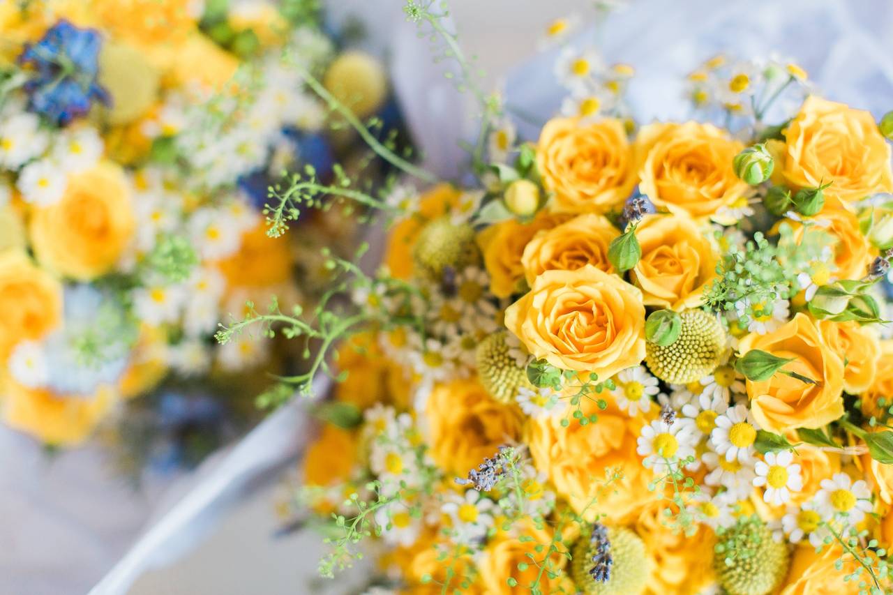 Hayley Elizabeth Photography in Malvern, Worcestershire - Updated ...