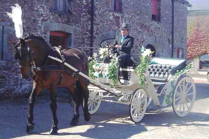 Carriages in the Park in Pembrokeshire - Cars and Travel | hitched.co.uk