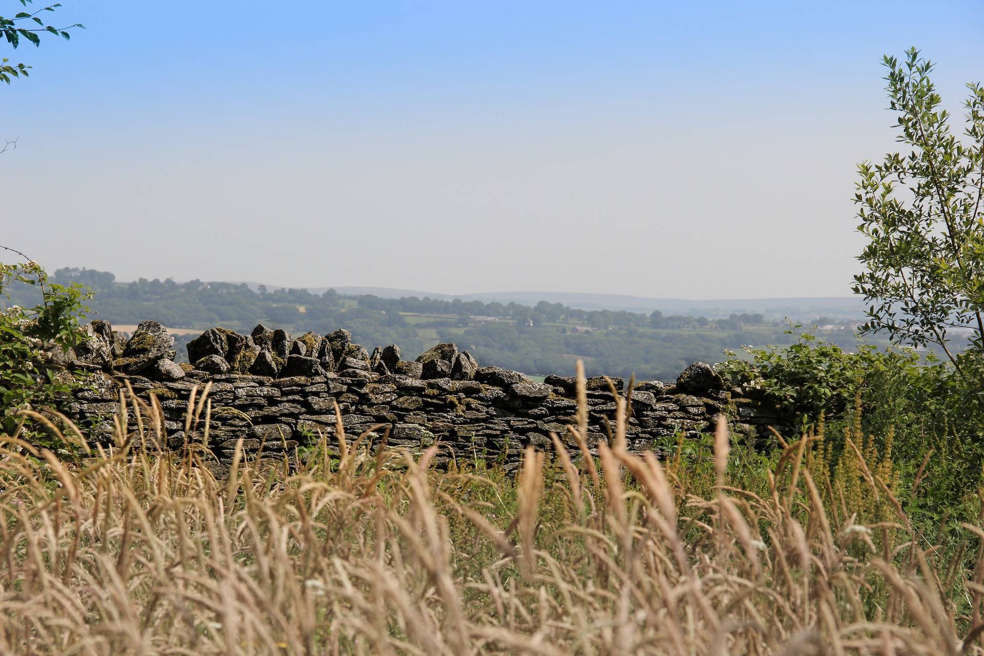 Llechwen Hall Hotel in Trehafod, Mid Glamorgan - Updated prices ...