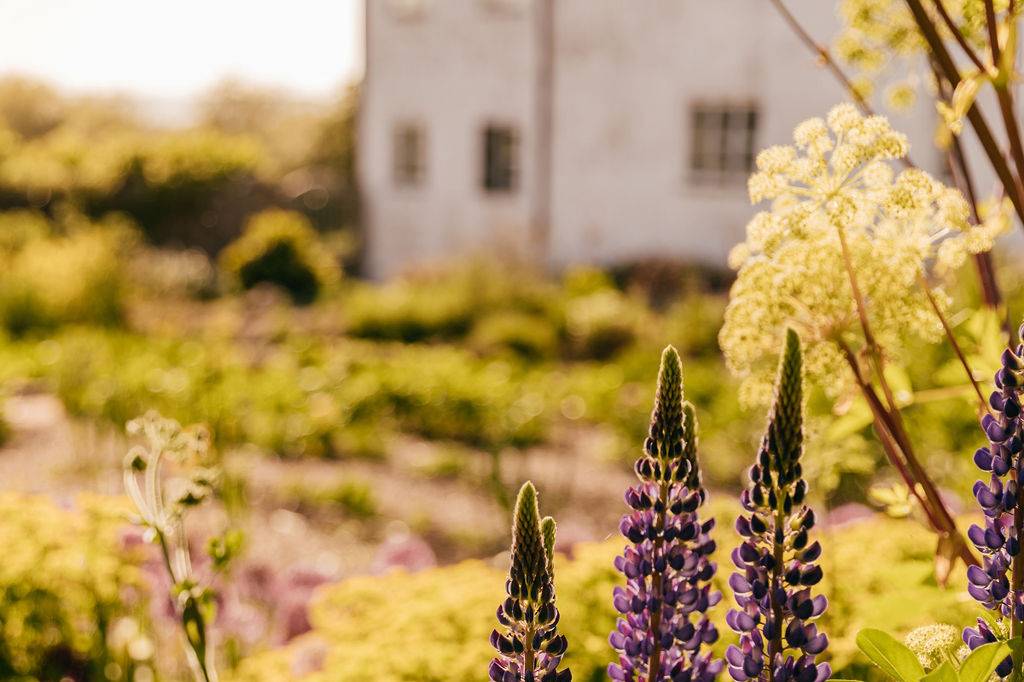 River Cottage Wedding Venue Axminster, Devon | hitched.co.uk