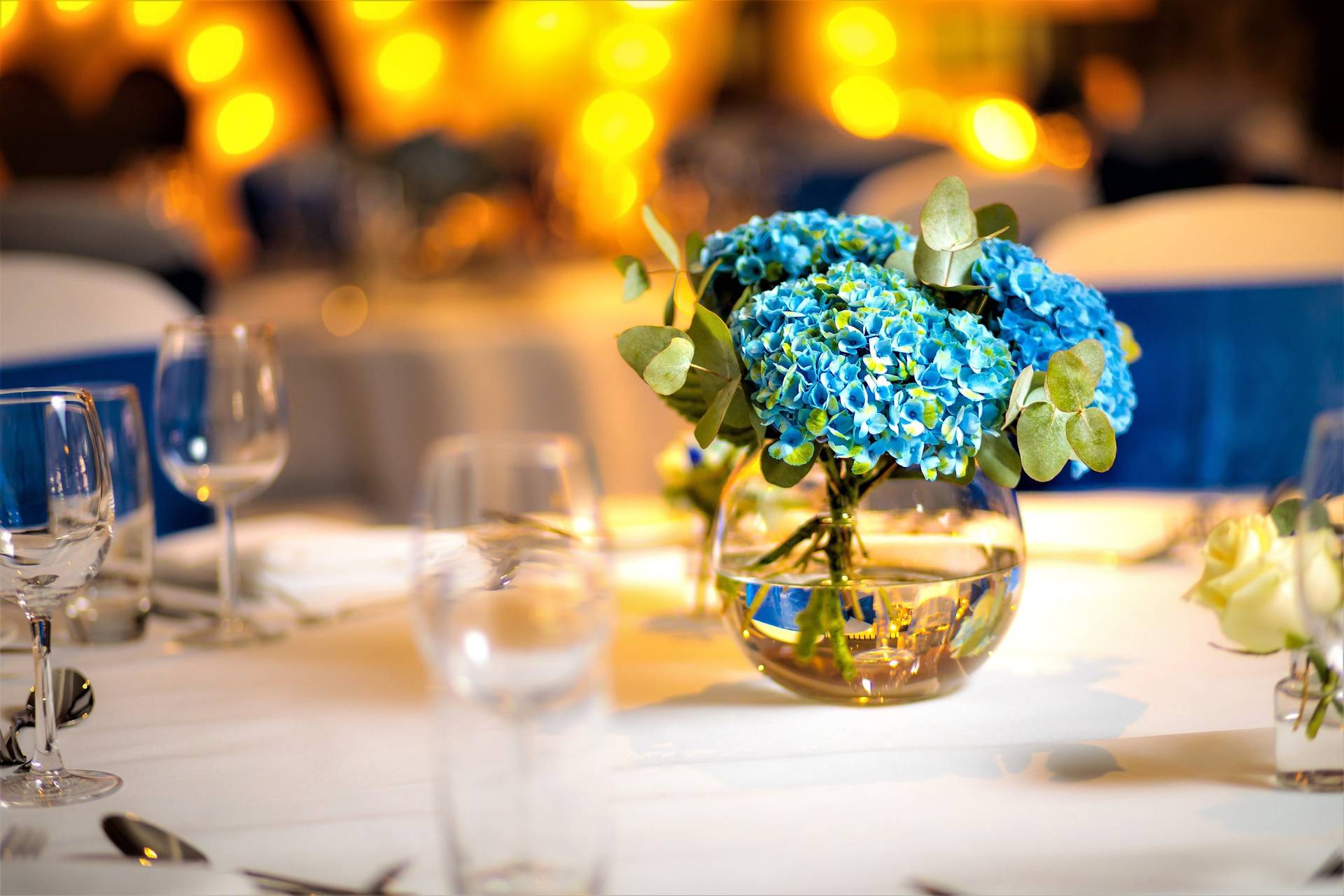 Radisson Blu Hotel Leeds in Leeds, West Yorkshire - Updated prices ...