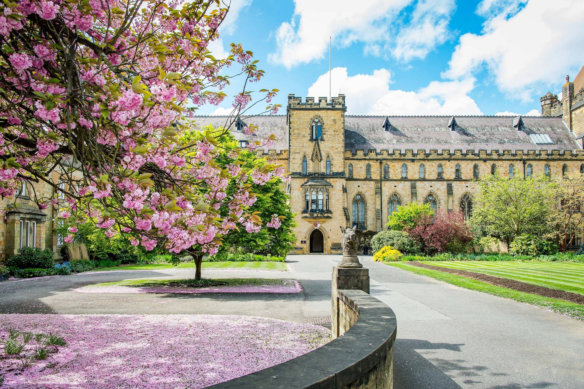 Tonbridge School in Tonbridge, Kent - Updated prices | hitched.co.uk