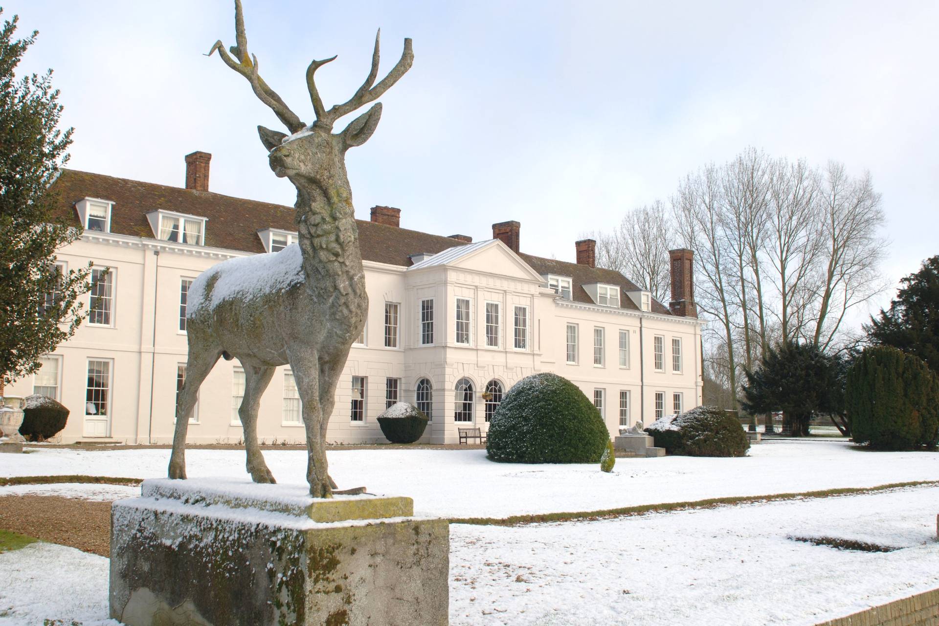 Gosfield Hall in Gosfield, Essex - Updated prices | hitched.co.uk
