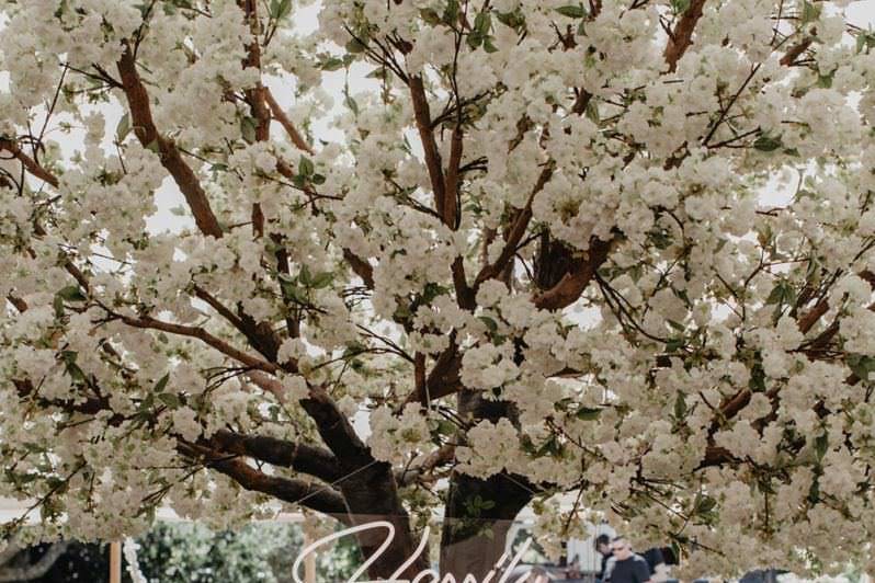 Twilight Trees in Hampshire - Decor Hire and Styling | hitched.co.uk